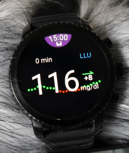 FreeStyle Libre 3: Anleitung zur Darstellung auf der Android Smartwatch ...